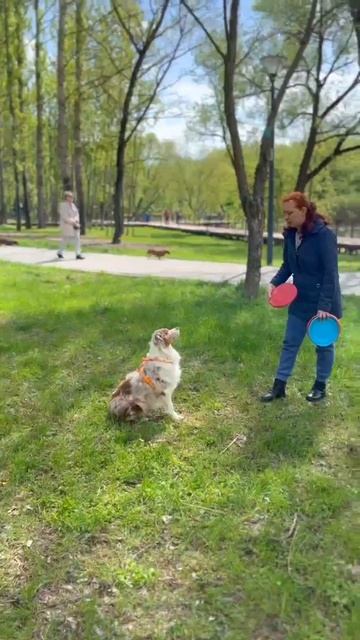 АО Руби - первые флипы и каскад