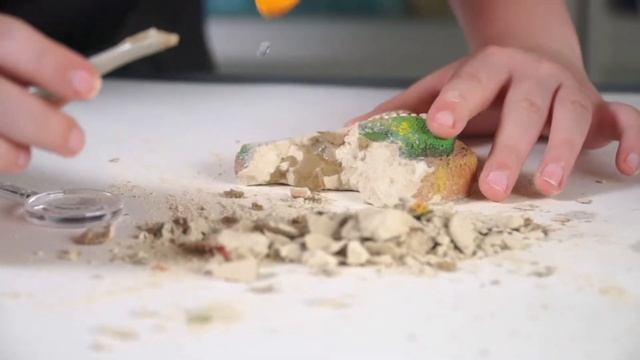 National Geographic Игровой набор "Древняя акула"