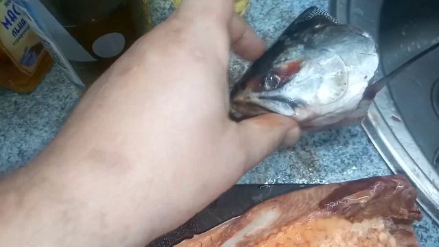 Всегда пригодится: Как выбрать в магазине горбушу с красной икрой. Выбираем самочек.