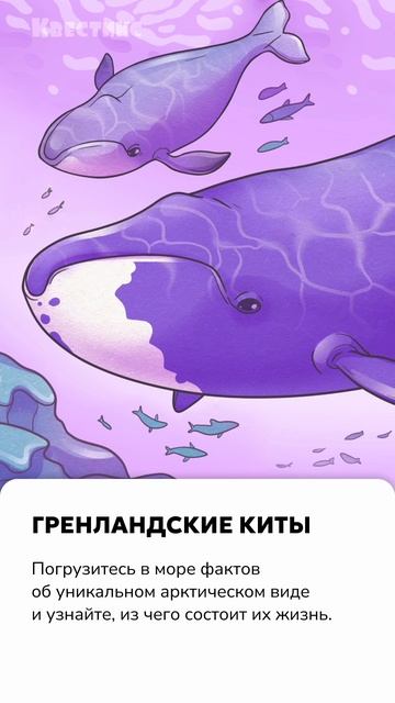 3 познавательные мини-викторины (10+) о животных, занесенных в Красную книгу