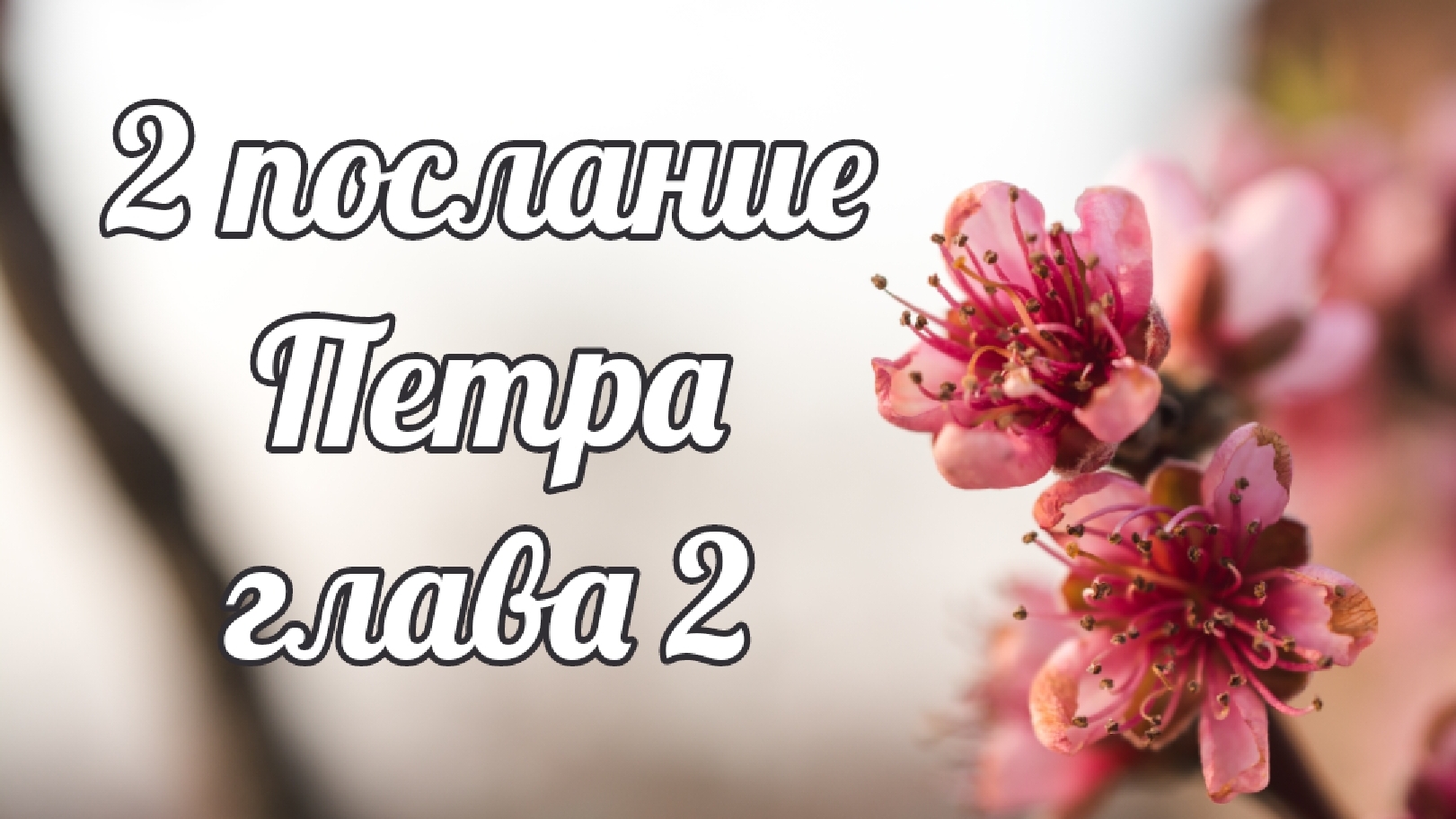 2 послание апостола Петра глава 2