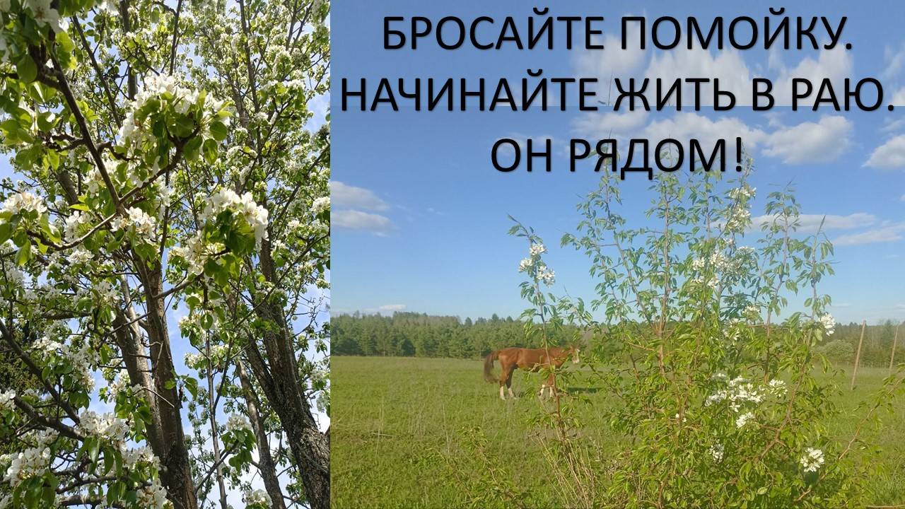 ЧТОБЫ ЖИЗНЬ СТАЛА ДОЛГОЙ, НАЧИНАЙТЕ ЖИТЬ УЖЕ СЕЙЧАС. ЧЕМУ УЧИТ МУДРОСТЬ ЗЕМЛЕДЕЛИЯ