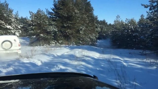 Охота на кабана!