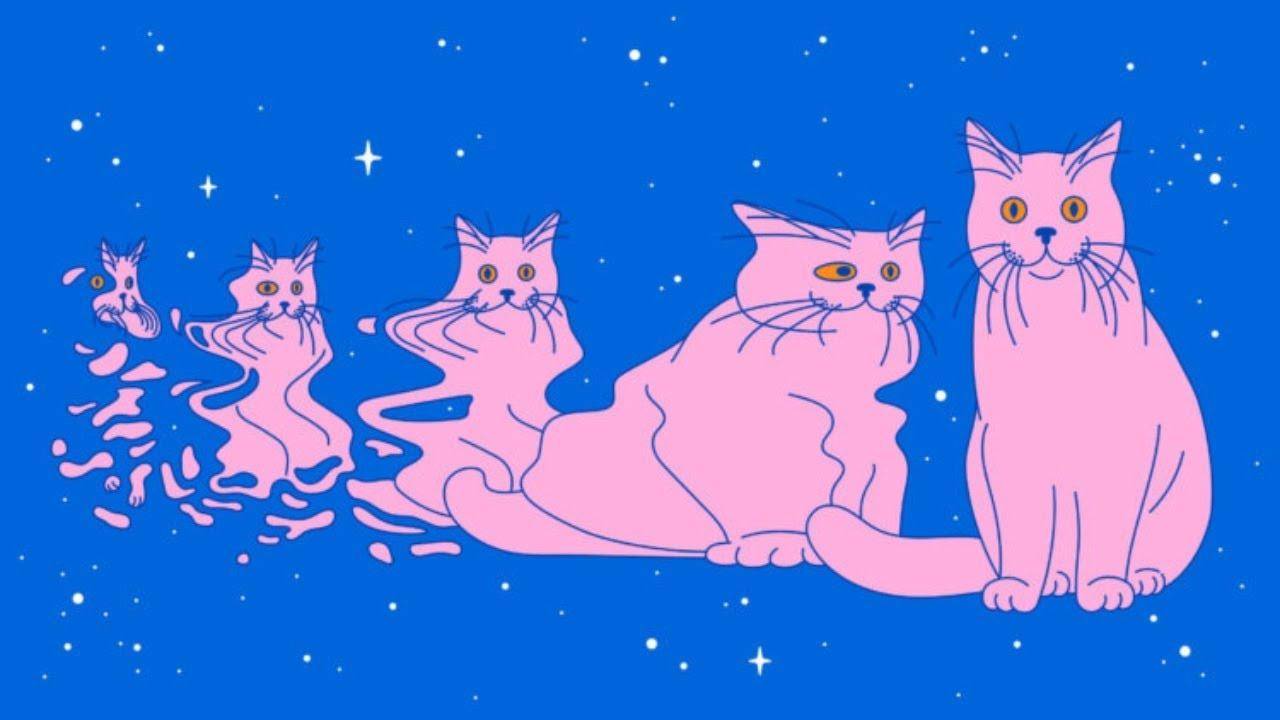 Парадокс друга Вигнера