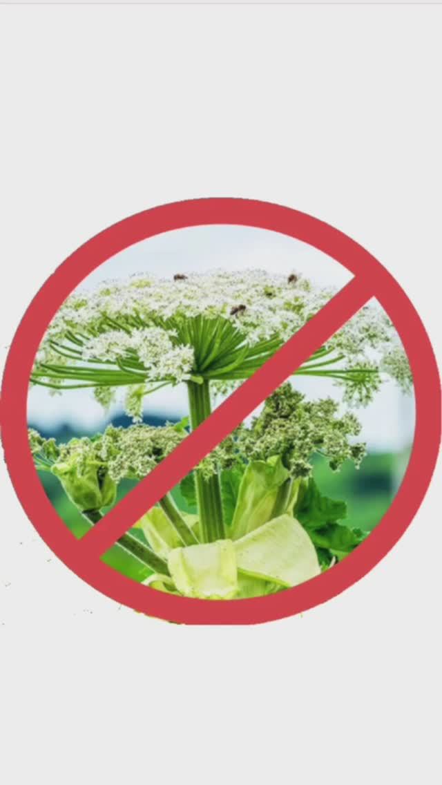 Участница №4 Лея Вишнякова, 49 лет, Подмосковье СУПЕР ЛЕДИ 2025 - Задание №3