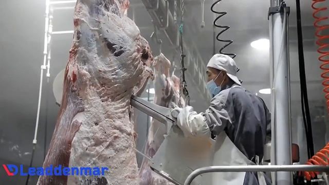 Ленточная пила для нарезки свиной туши Leaddenmar Msaw L500