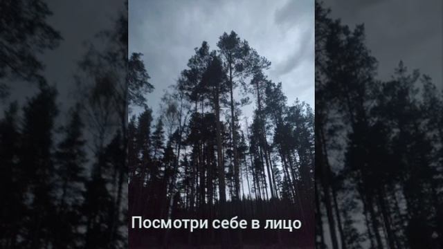 Посмотри себе в лицо Роберт Адамс