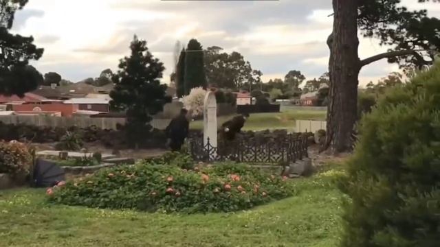 прикол жуткая монашка