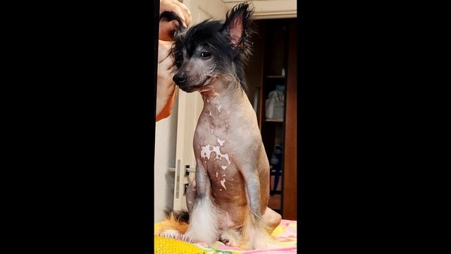 Вик - красавец парень