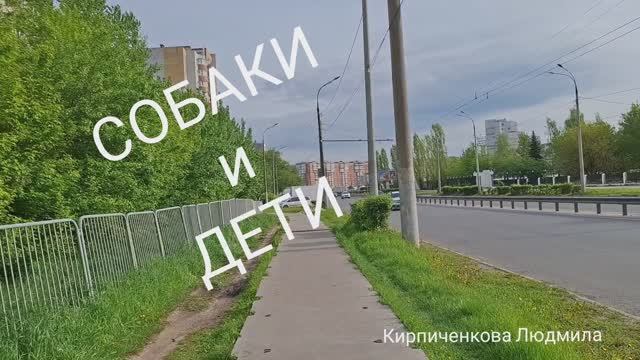Собаки и дети, не могу молчать