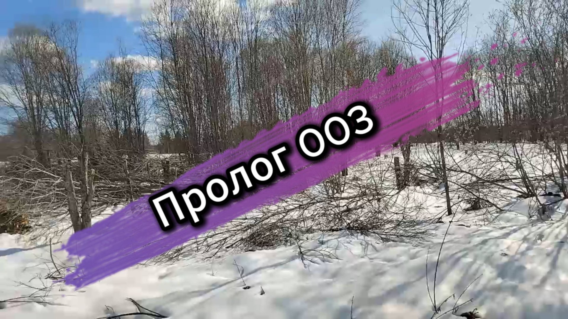 Дача в Подмосковье, первые шаги Часть 003.