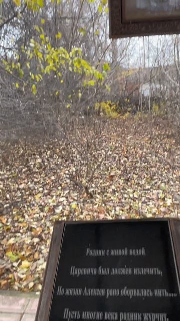 Алексеевский родник в Каменке Пензенская области