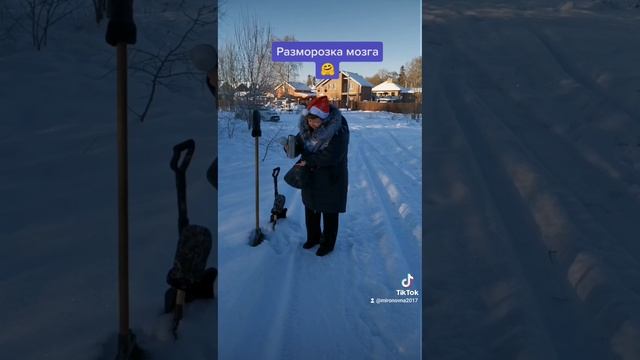 Разморозка мозгов