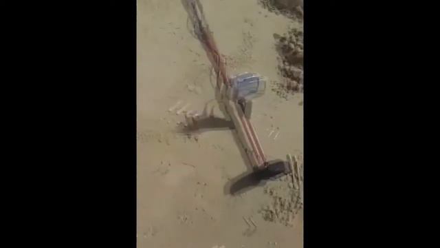 Коп на пляже