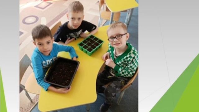 Проект педагогов и детей группы 7.1 " Почемучки". "Огород на окне- 2025"