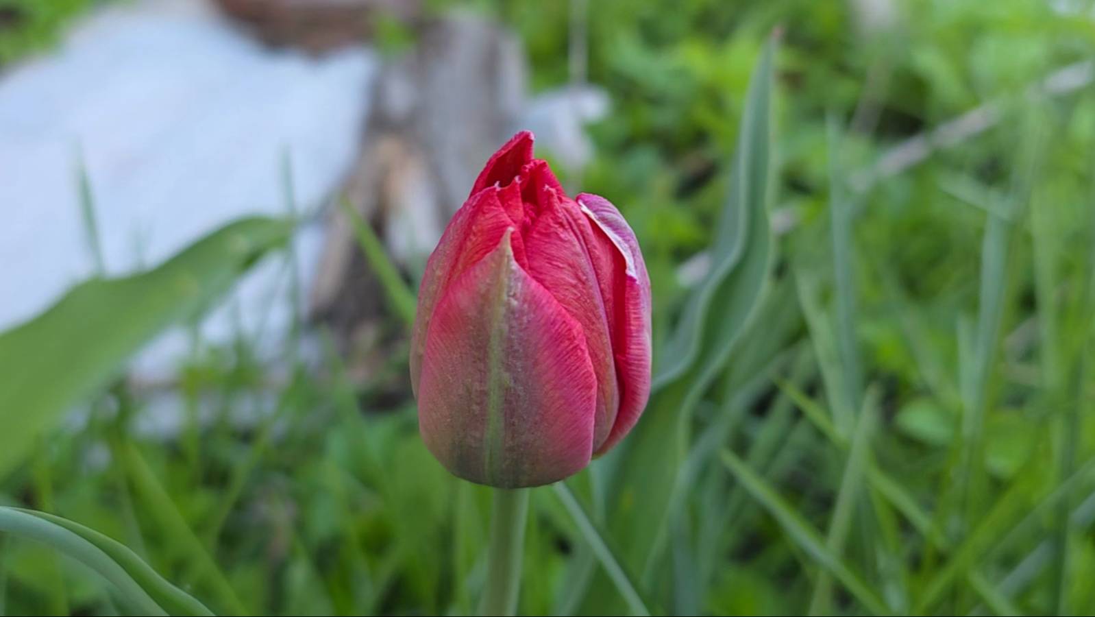 Вышивально-рукодельная неделя  с 28 апреля по 11 мая 2025 г