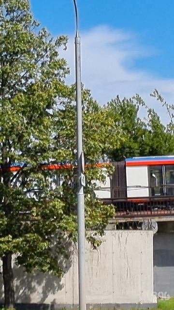 Поезд "Москва 2024" преодолевает Нагатинский метромост #metro #поезд #метро #Мосметро #москва2024