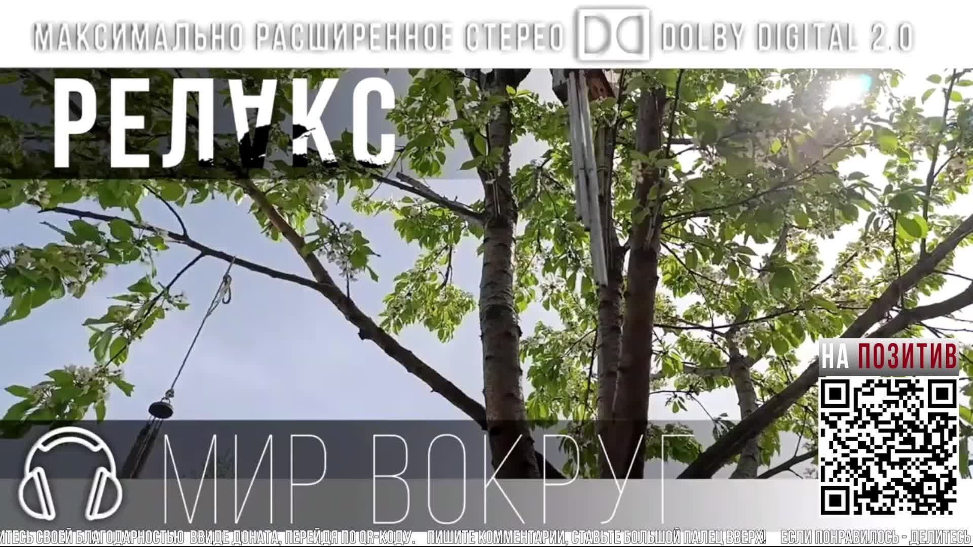 Эмбиент.Релакс.025 Музыка ветра.ASMR.АСМР.