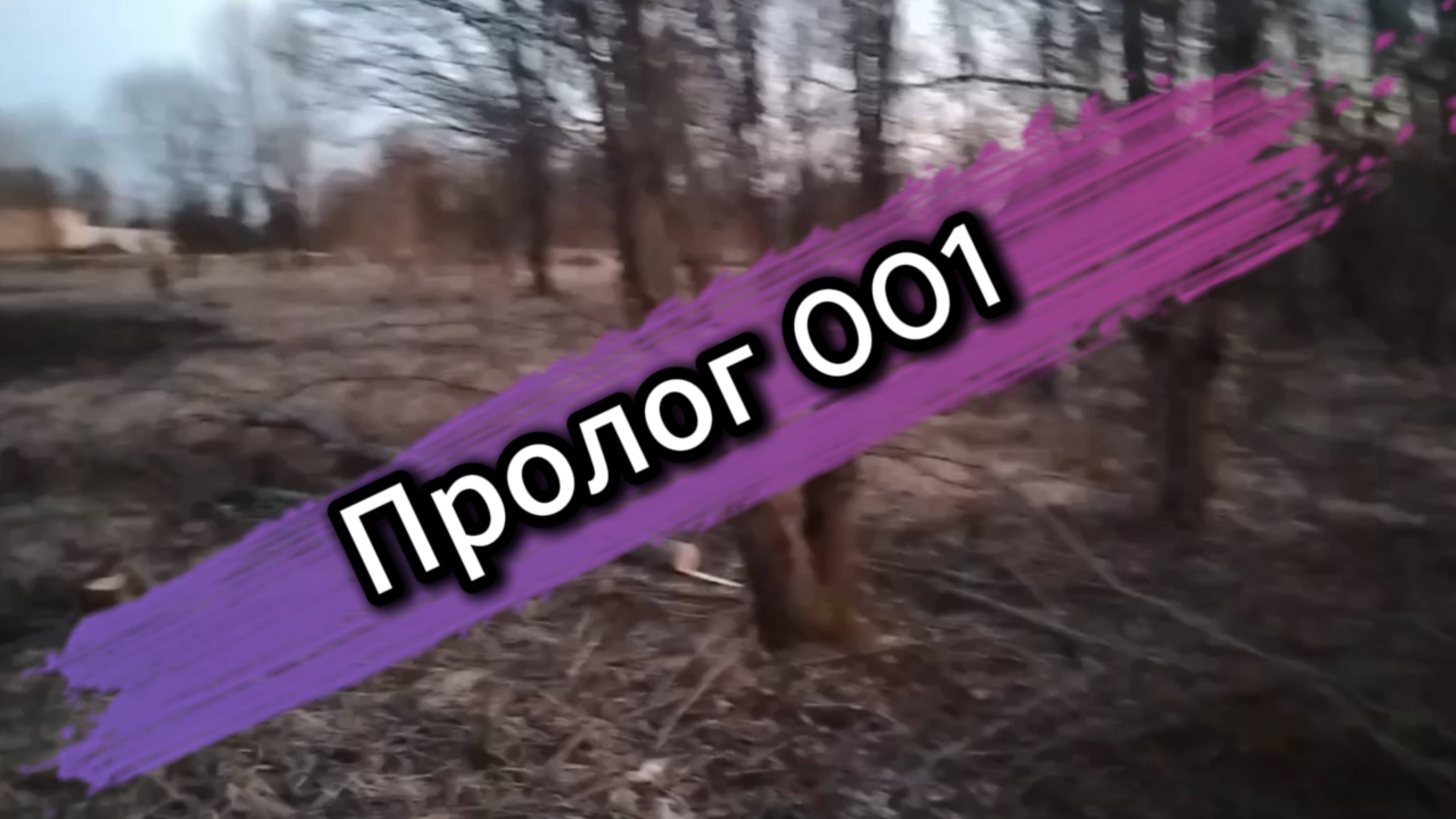 Дача в Подмосковье, первые шаги. Часть 001