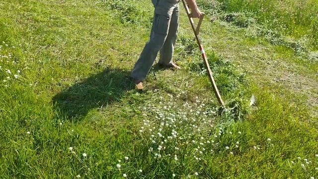 Как коса Falci-126 справляется с не самой приятной травой. (2/2)