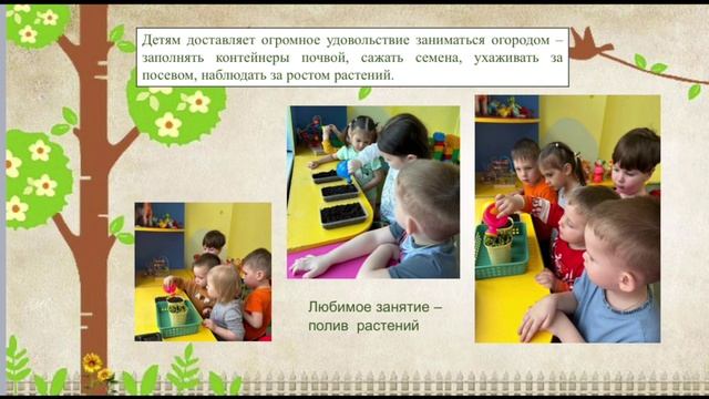 Проект педагогов и детей группы 5.2  " Солнышко". "Огород на окне- 2025"