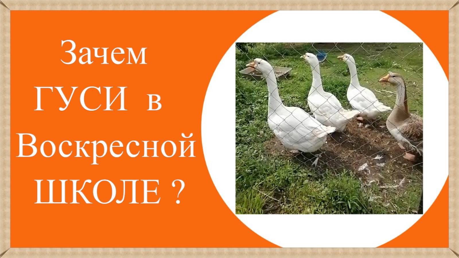 как применить видео о хозяйстве