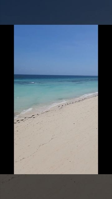 Отель Amaan Bungalow 3* Nungwi Танзания