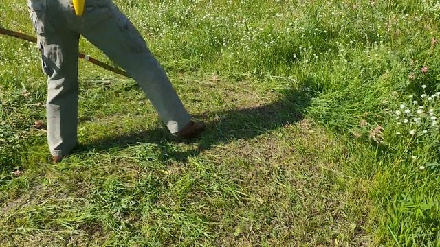 Как коса Falci-126 справляется с не самой приятной травой. (1/2)