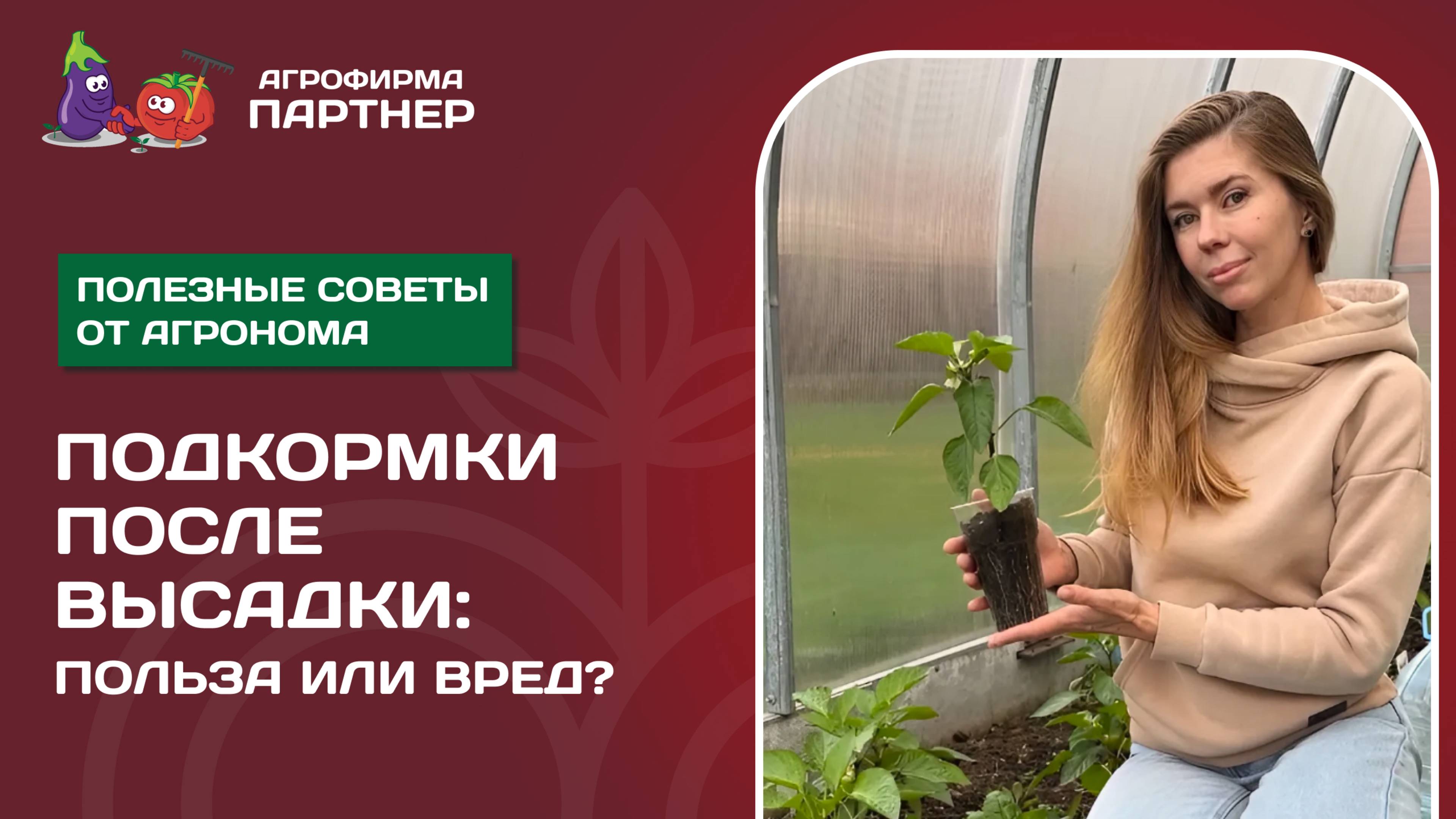 ПОДКОРМКИ ПОСЛЕ ВЫСАДКИ // Удобрения не помогают? Вот причина!