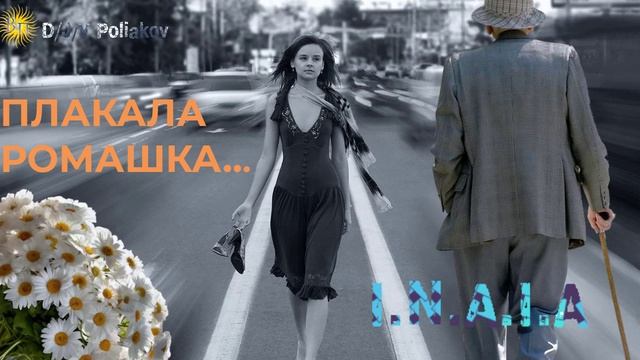 Плакала ромашка