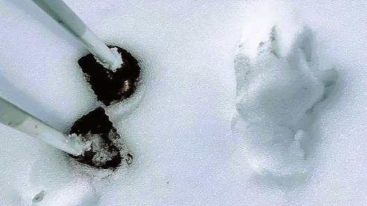 ОДИН. Последняя РЫБАЛКА. Шастают ЗВЕРИ. УКРАЛИ удочку, пришлось НАКАЗЫВАТЬ.