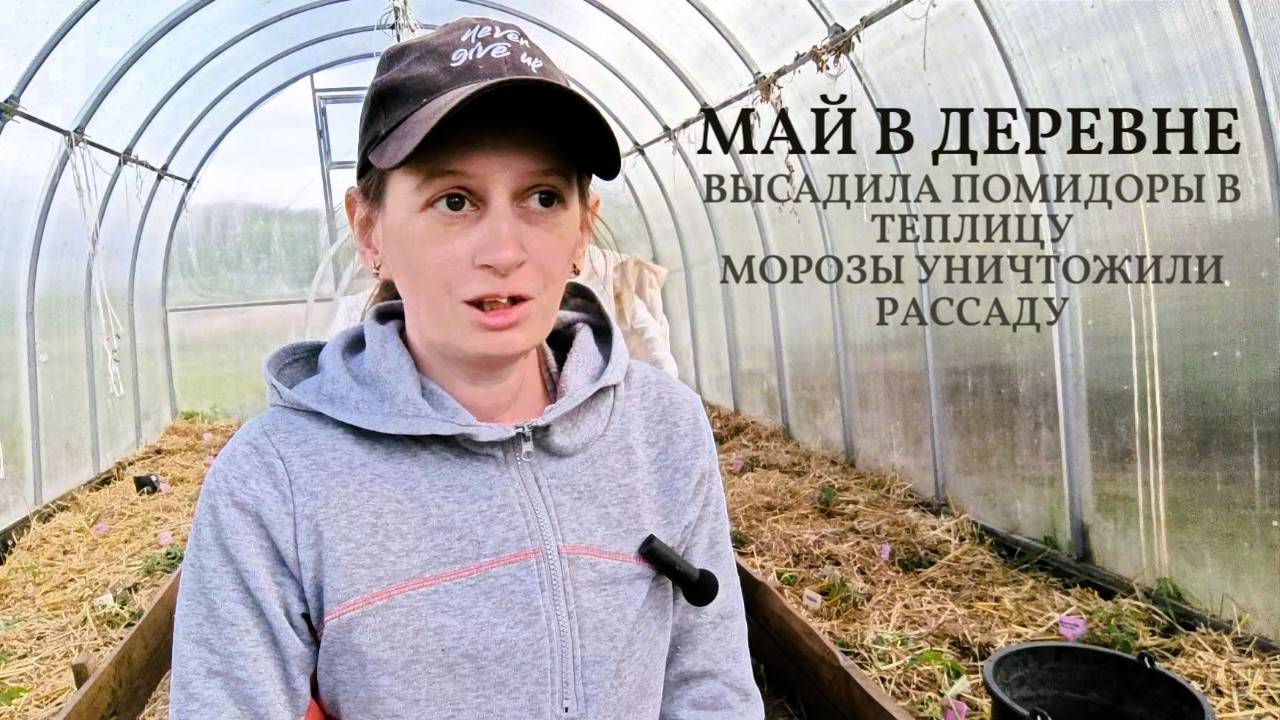 Май в ДЕРЕВНЕ: МОРОЗЫ УНИЧТОЖИЛИ РАССАДУ | Помидоры в теплице #дача #огород #помидоры