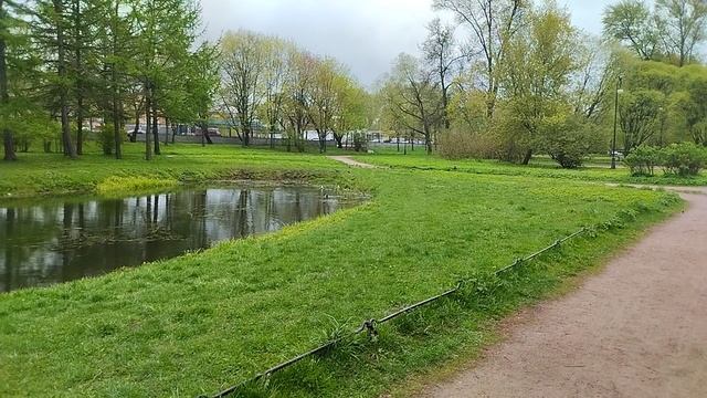 Пруд в саду.