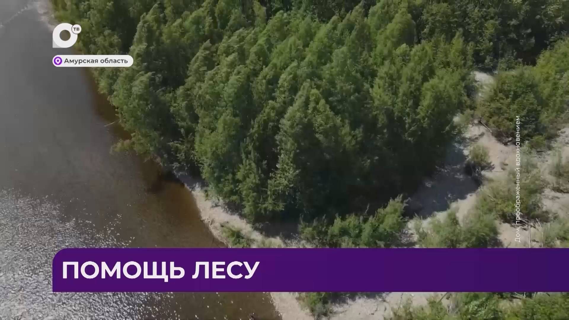 Дальний Восток Блиц / 14.05.25