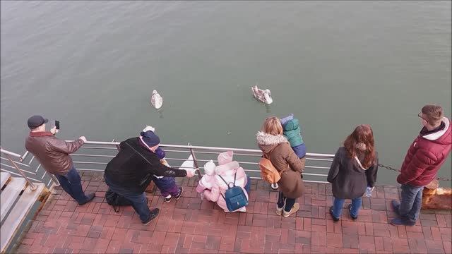 Зеленоградск. 4. 03. 2017 г.