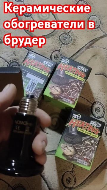 керамика в брудер для перепелят