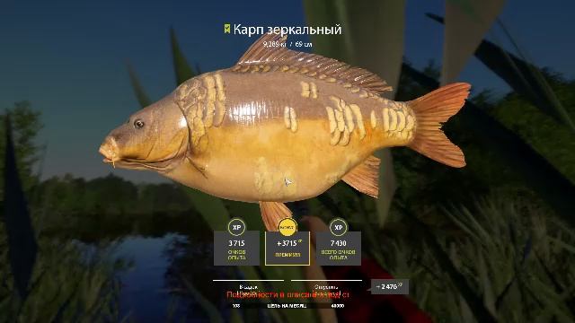 ⚡️🛑🔥ФАРМ НА БЕДНОМ  | РУЛЕТКА | ОБЩЕНИЕ И ОТДЫХ🔥 🆂🆃🆁🅴🅰️🅼