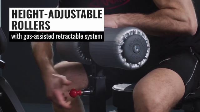 Dual  Lat Machine Pulley Row Panatta