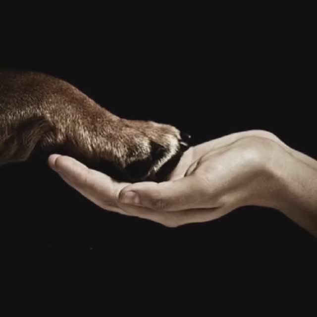 Участница №8 Александра Пьяных, 34 года, г. Оренбург СУПЕР ЛЕДИ 2025 - Задание №3