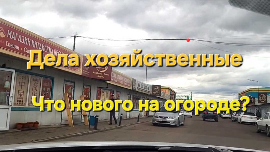 Ездим по хозяйственным делам. Обед в кафе "Гурман". Наш сибирский огород.