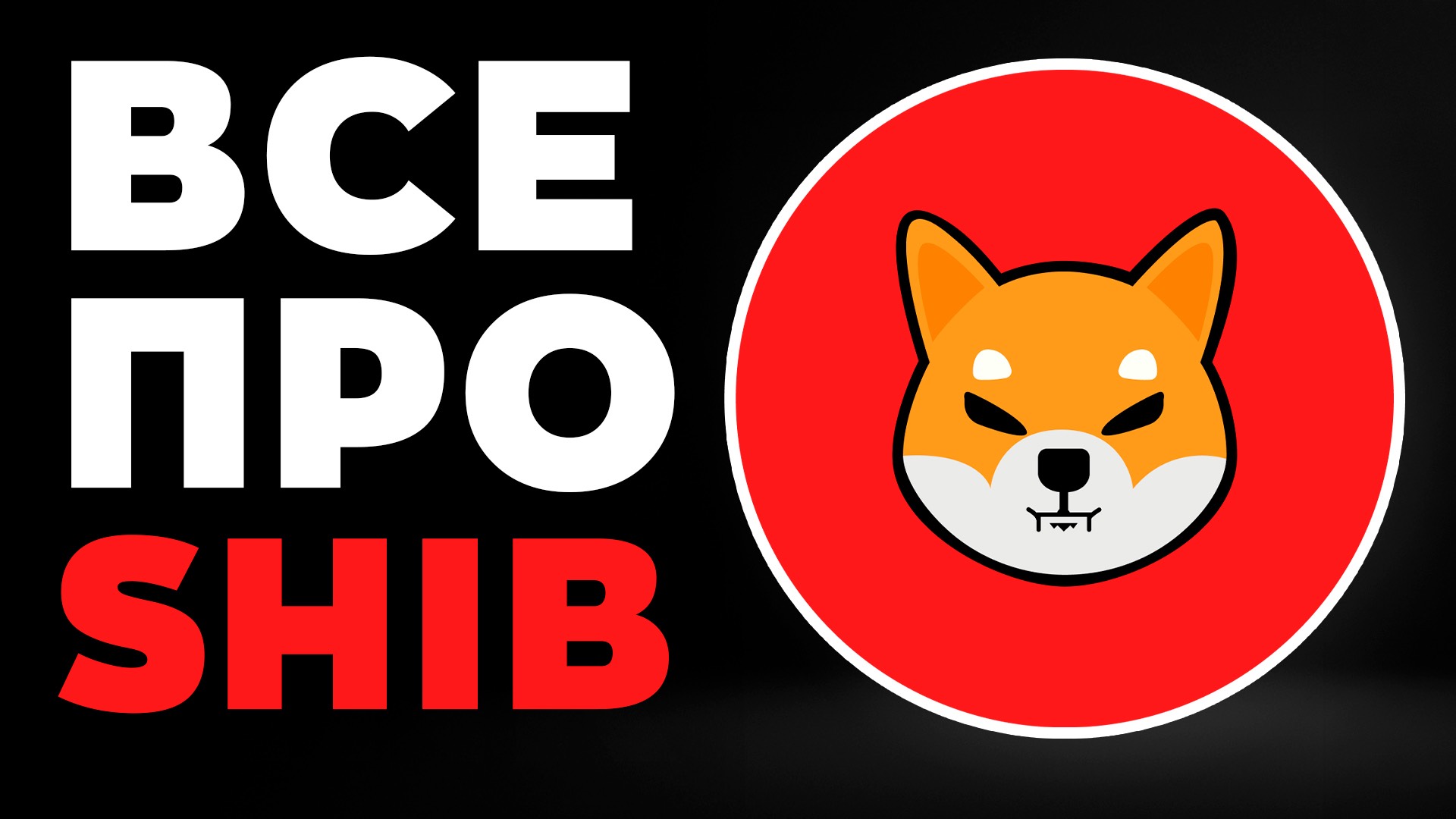 Все о SHIBA