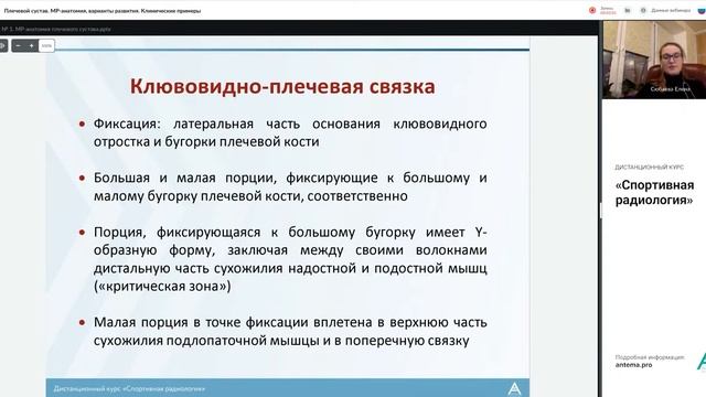 Плечевой сустав. МР-анатомия, варианты развития. Клинические примеры