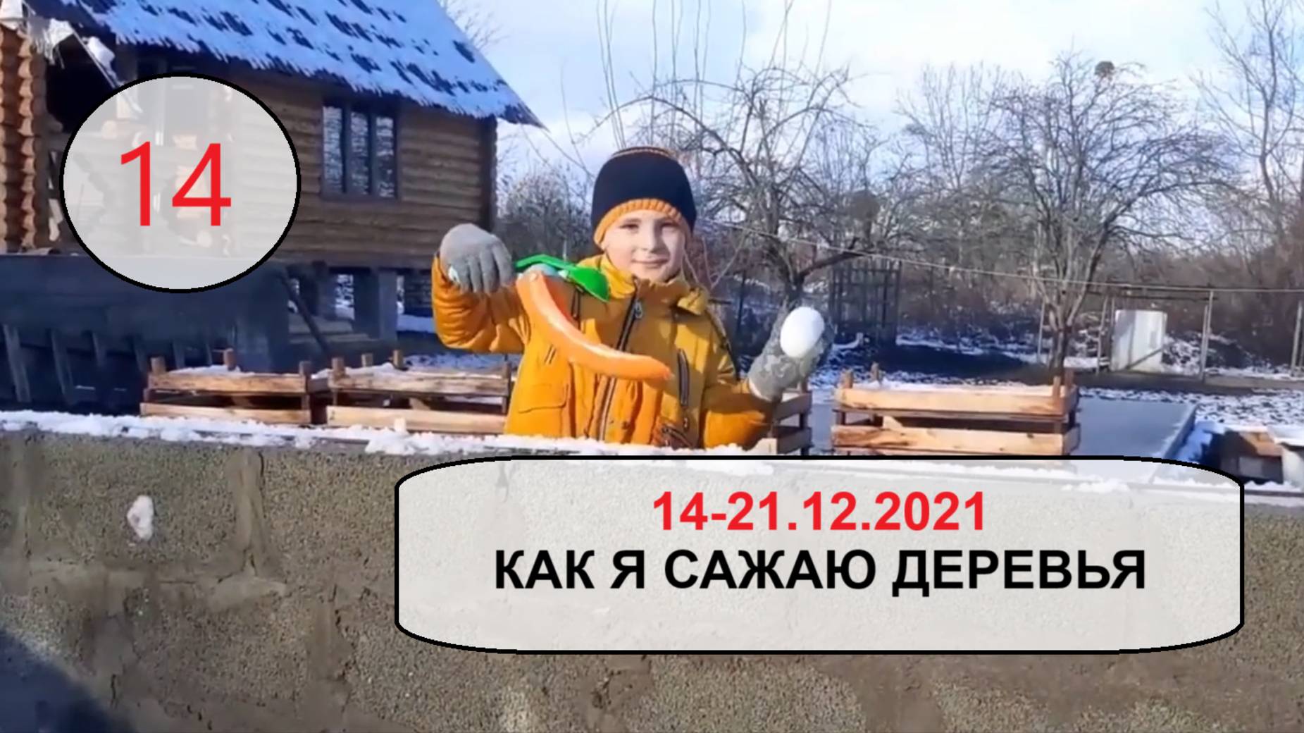 14. 14 - 21 декабря 2021. Как я сажаю деревья.