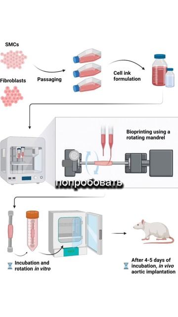 copy_65C14C0D-5420-4F26-8FDB-8FE4AE627710