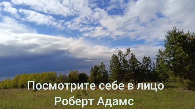 Посмотрите себе в лицо Роберт Адамс