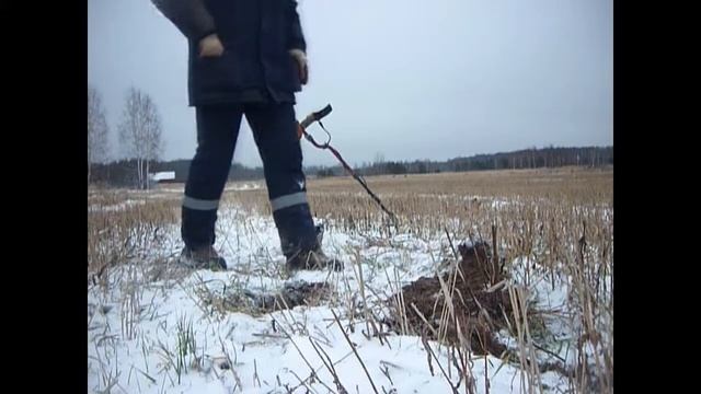 Что можно найти на выбитом поле