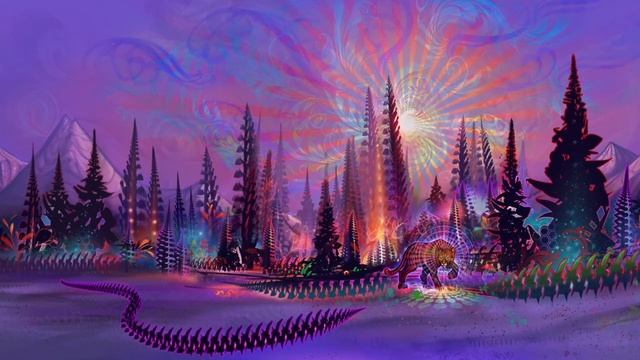 Liquid Bloom Set @ Rhythm Sanctuary, Ecstatic Dance, January 2nd 2020