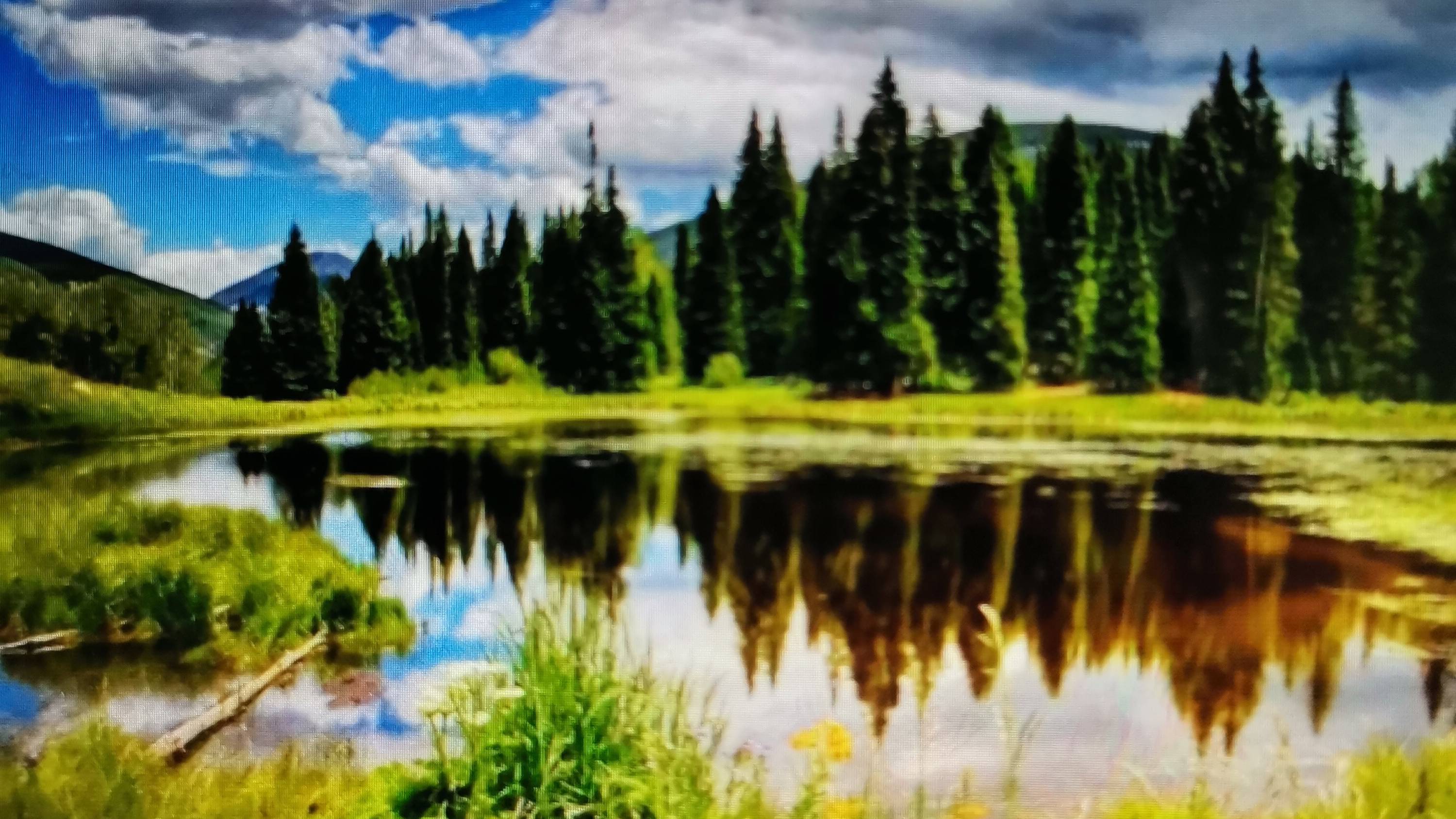 Благословляю вас.. врагов, друзей в объятья