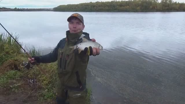 РЫБАЛКА НА РЕКЕ ОСЕНЬЮ.