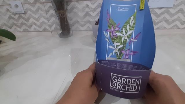 Новинки в моей коллекции. Тестирую кокосовые чипсы из Лемана Про.